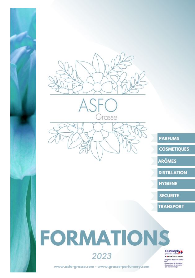 Catalogue de formations 2023 à destination des professionnels | Centre ...